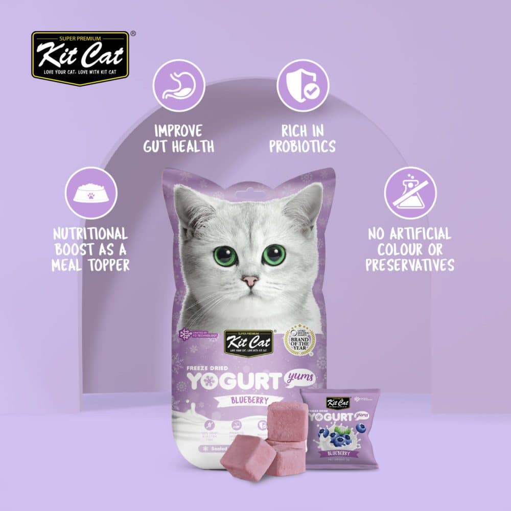 Kit Cat Freeze Dried Yogurt Yums Cat Treat - Blueberry (10pcs ...