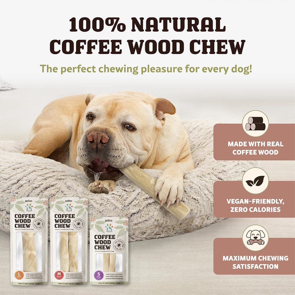 Singapaw Coffee Wood Chew Dog Dental Chew (3 Sizes) | PetMall Singapore
