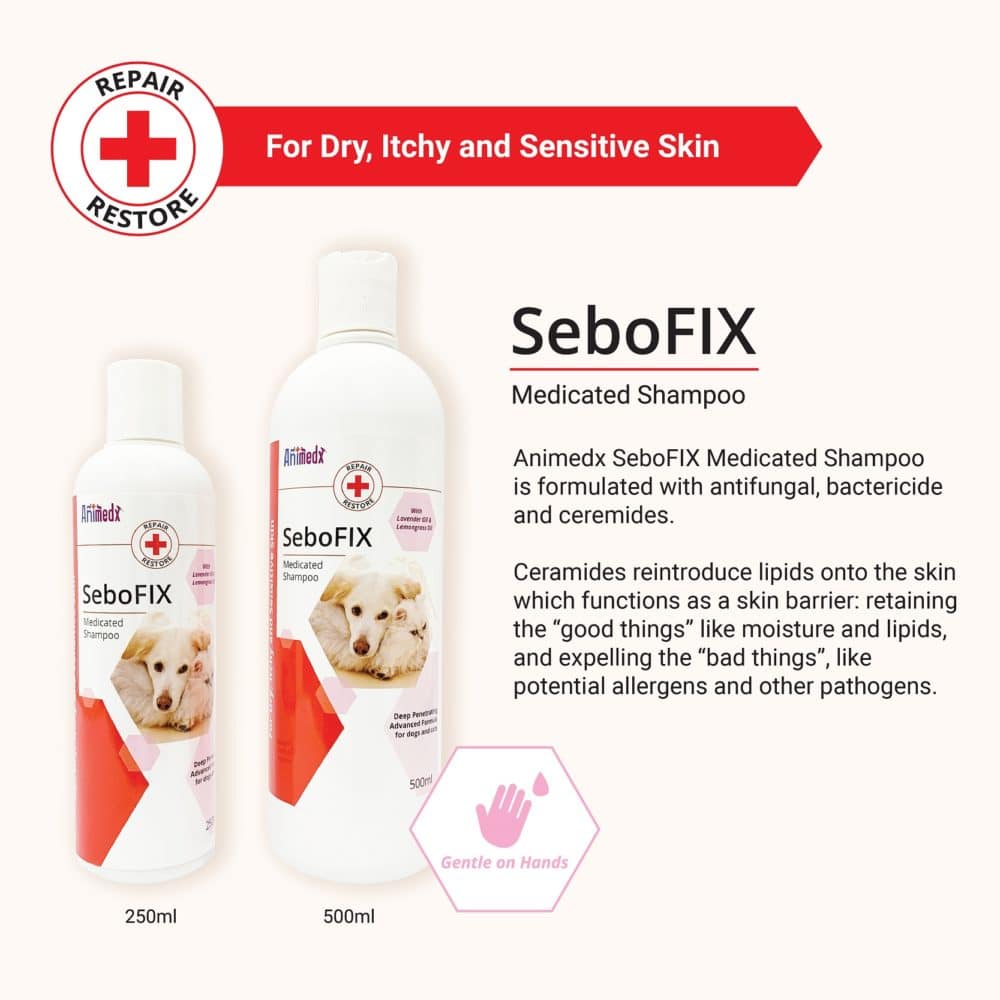 Animedx Sebofix Medicated Pet Shampoo (2 Sizes) | PetMall Singapore