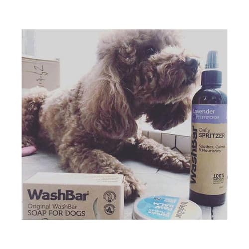 Washbar Daily Spritzer Lavender + Primrose 250ml | PetMall Singapore