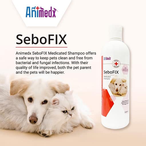 Animedx Sebofix Medicated Pet Shampoo (2 Sizes) | PetMall Singapore