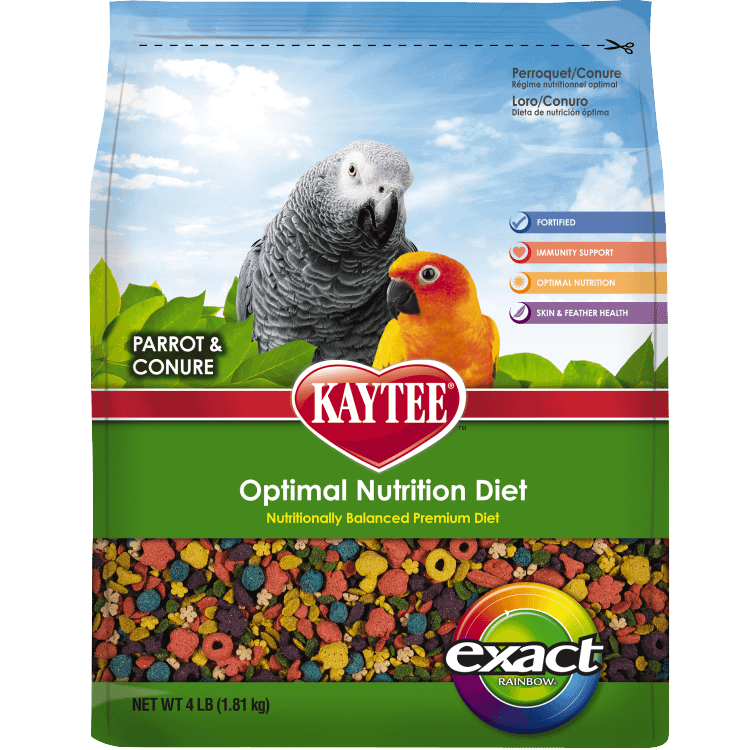 Kaytee Exact Parrot&Conure Rainbow Bird Food (2 Sizes) | PetMall Singapore