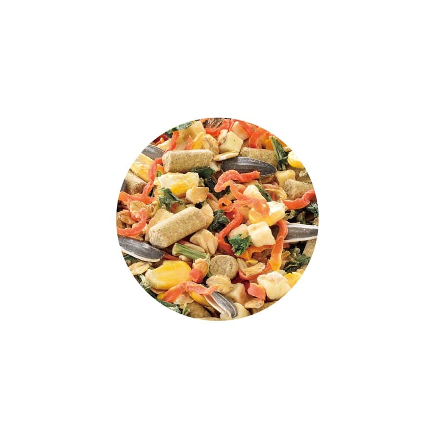 Gex Saishoku 7 Ingredient Golden Hamster Mix 220g | PetMall Singapore