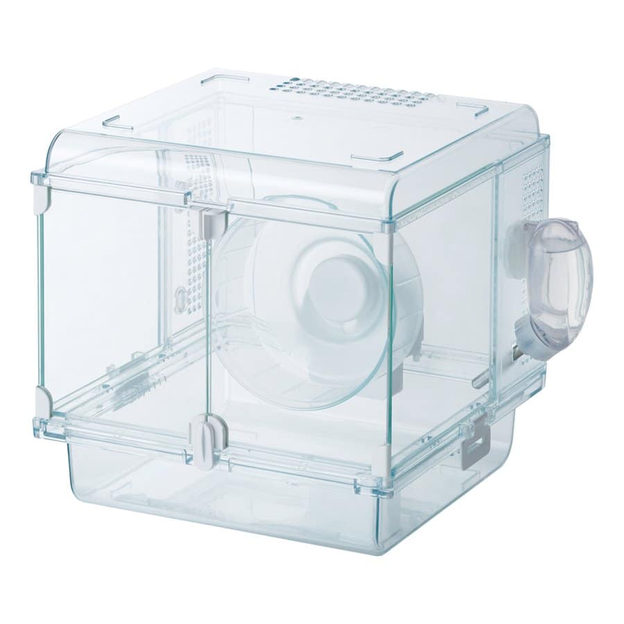 Gex Glass Harmony 250 Cube (2 Sizes) | PetMall Singapore