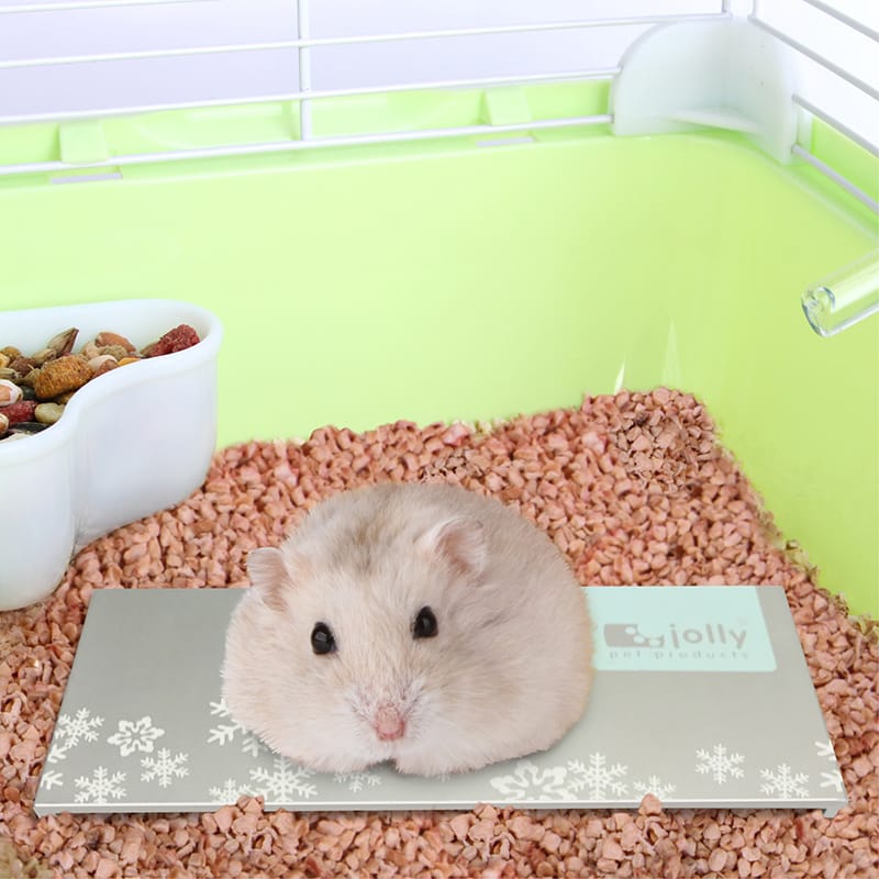 Jolly Ice Pad Accessories For Hamster (2 Sizes) | PetMall Singapore