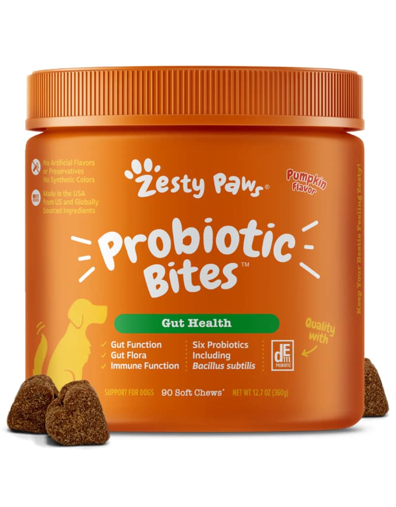 Zesty Paws Probiotics Bites Pumpkin Flavour Probiotic Supplement for ...