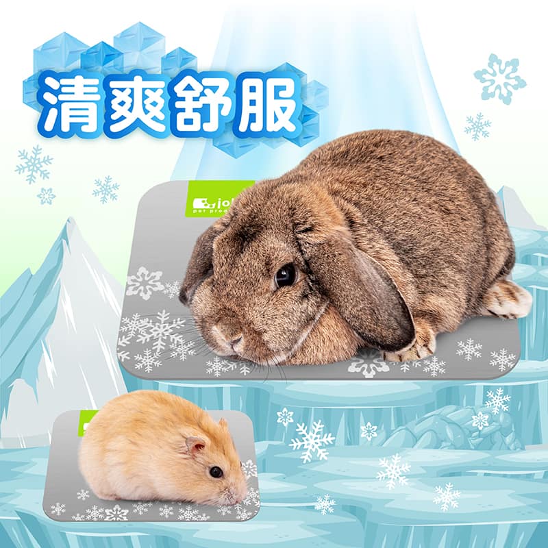 Jolly Cool Plate for Small Animals | PetMall Singapore